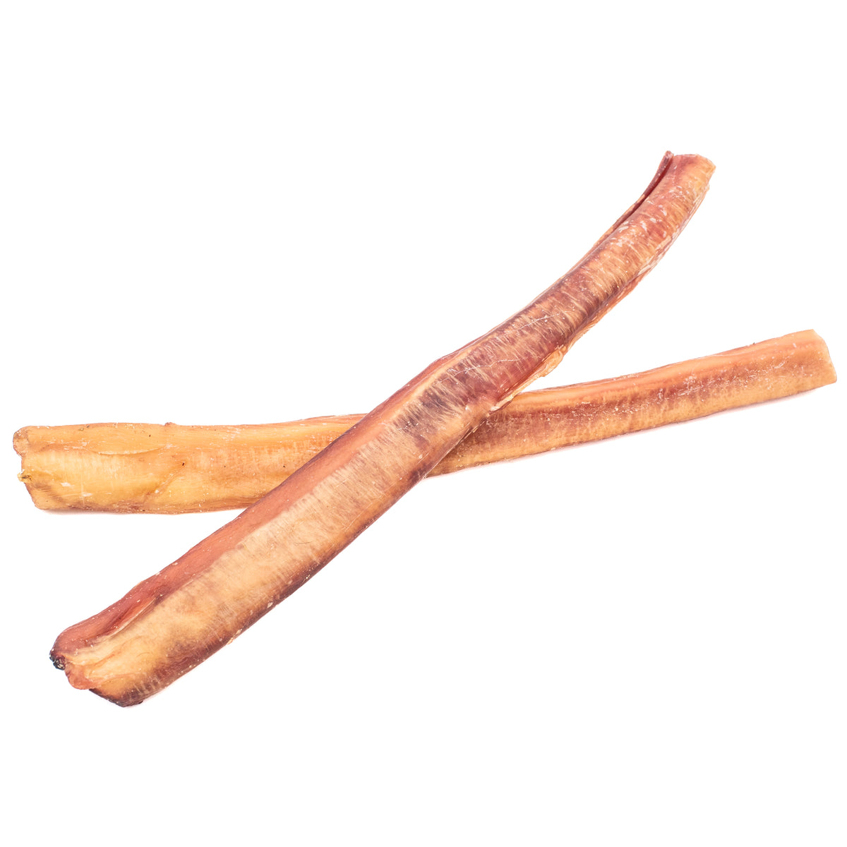 12" Monster Bully Sticks – American Standard Dog Training Store