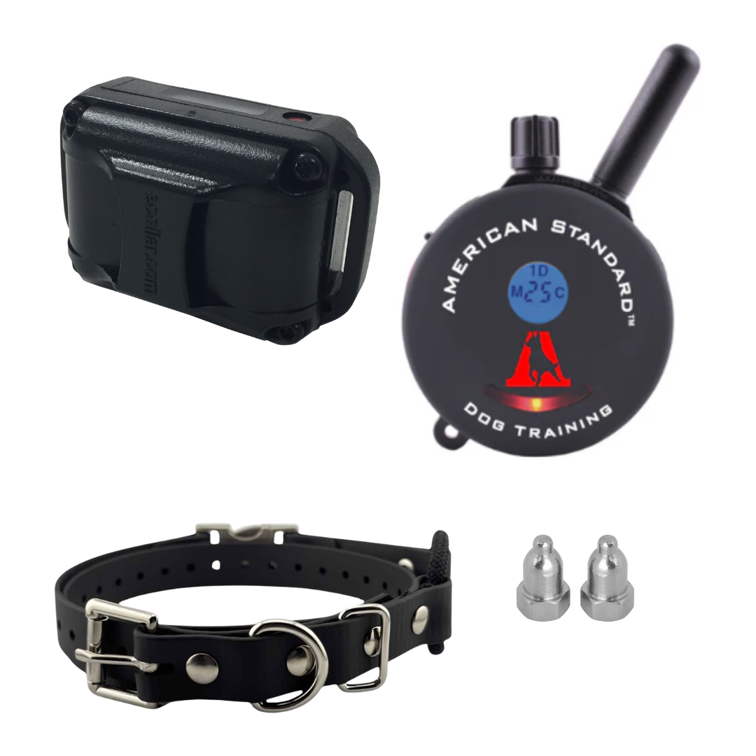 AS/ET-300 Mini Educator E-Collar with Quick Snap Bungee Collar by E-Co ...