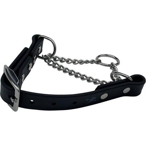 American Standard Dog Training Store