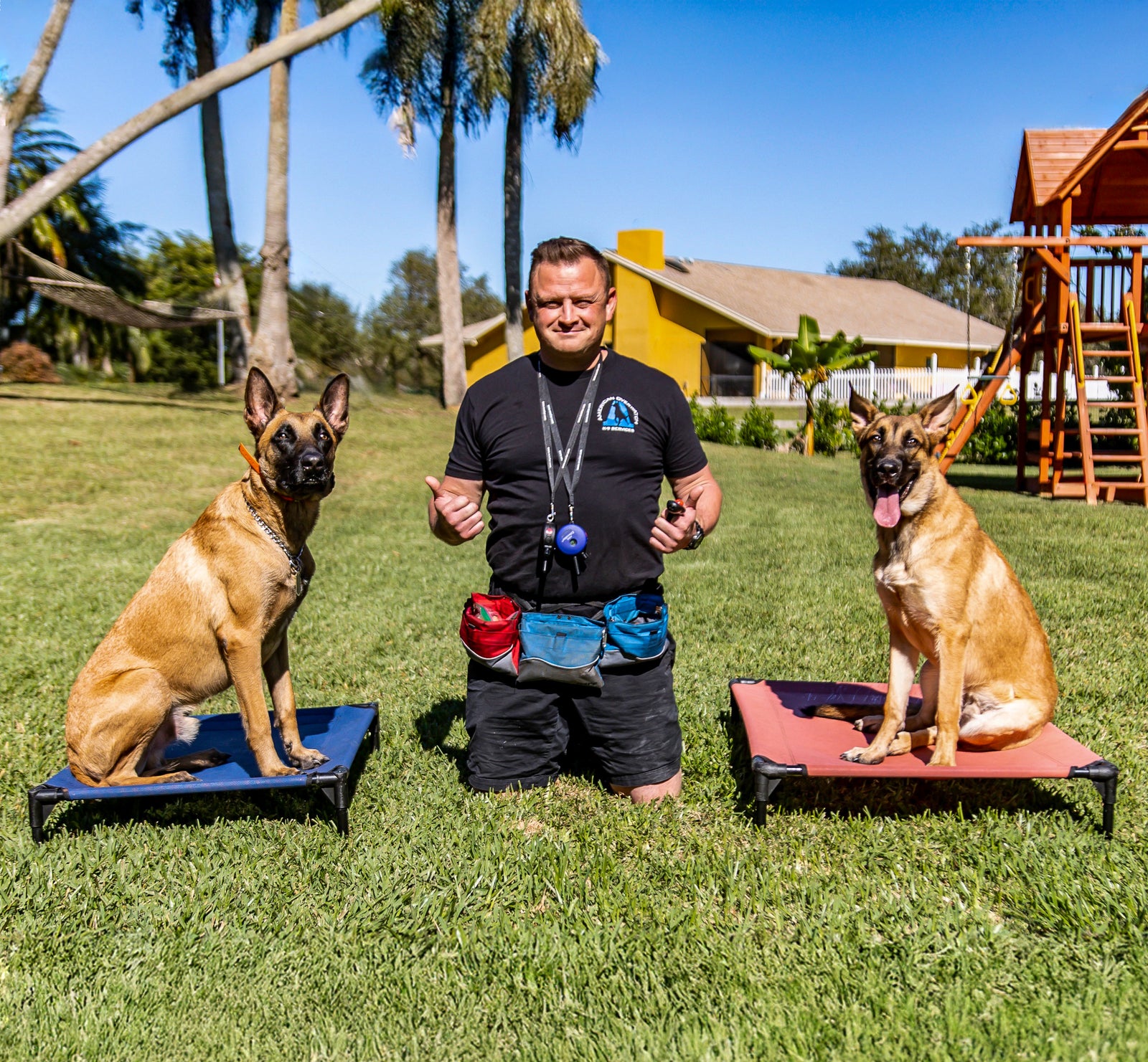 American Standard Dog Training Store